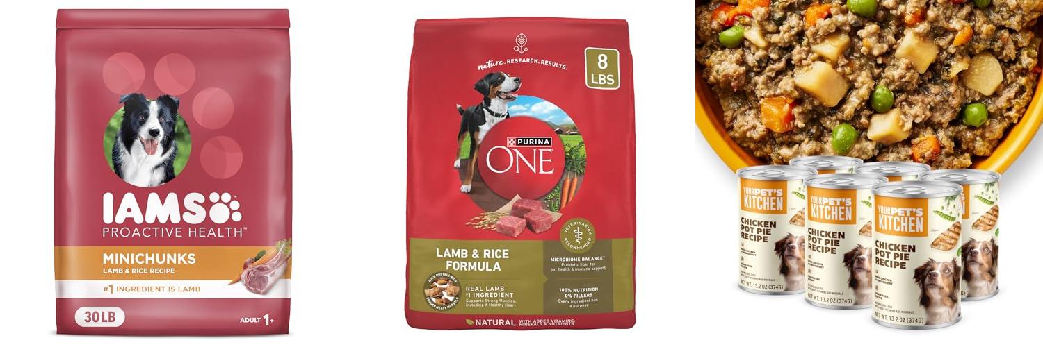 Top 5 Labradoodle Foods: A Complete Buying Guide