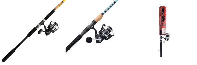 Best Rods For Shore Fishing - Top 5 Picks & Review